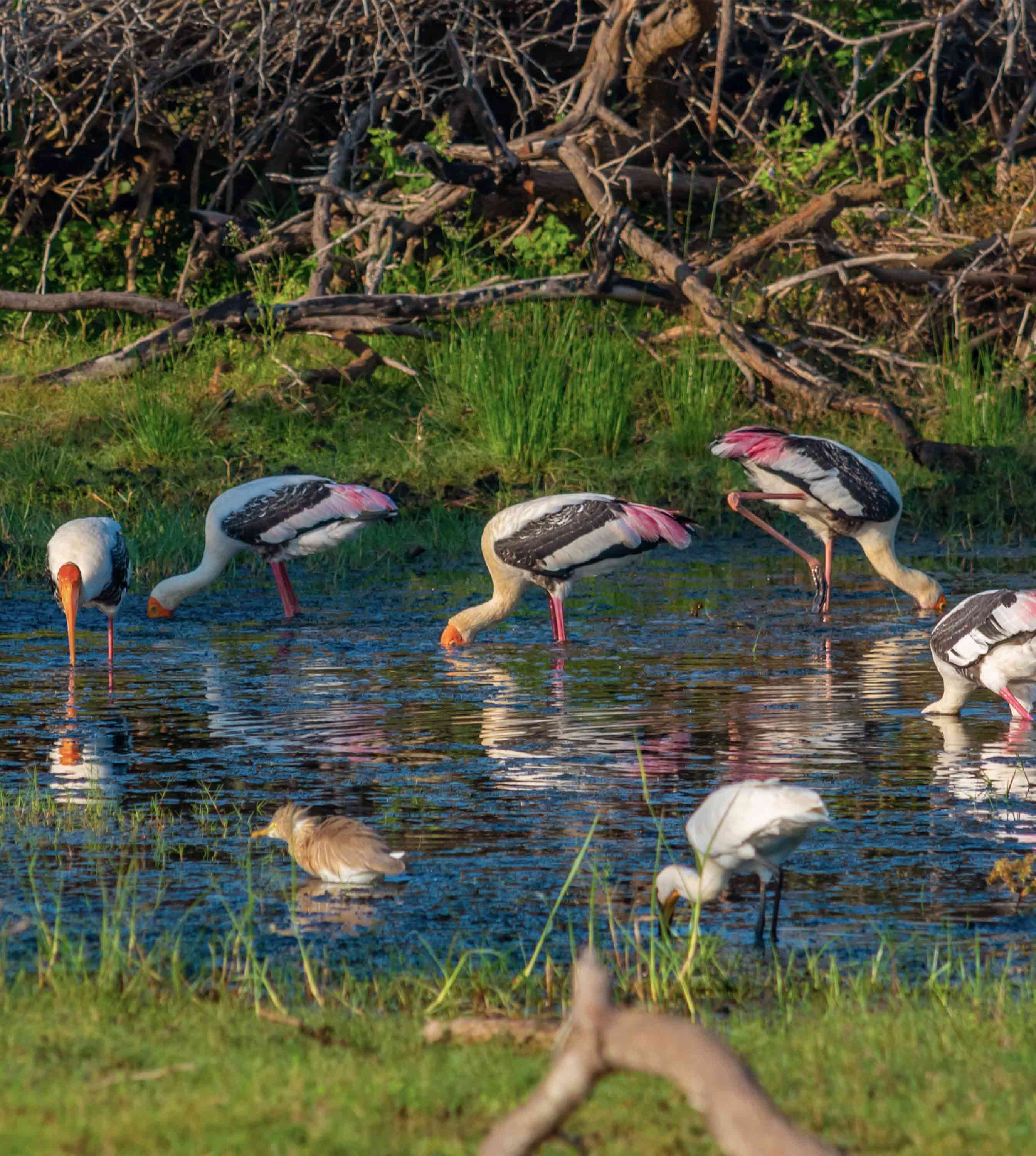 Experiences - Kotiyagala Luxury Villas