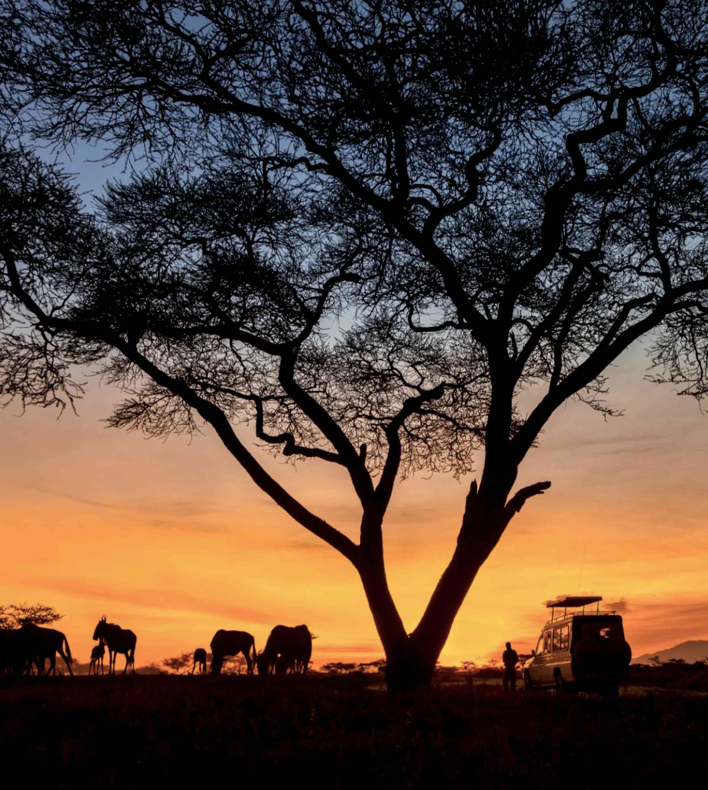 Gallery - Kotiyagala Luxury Villas