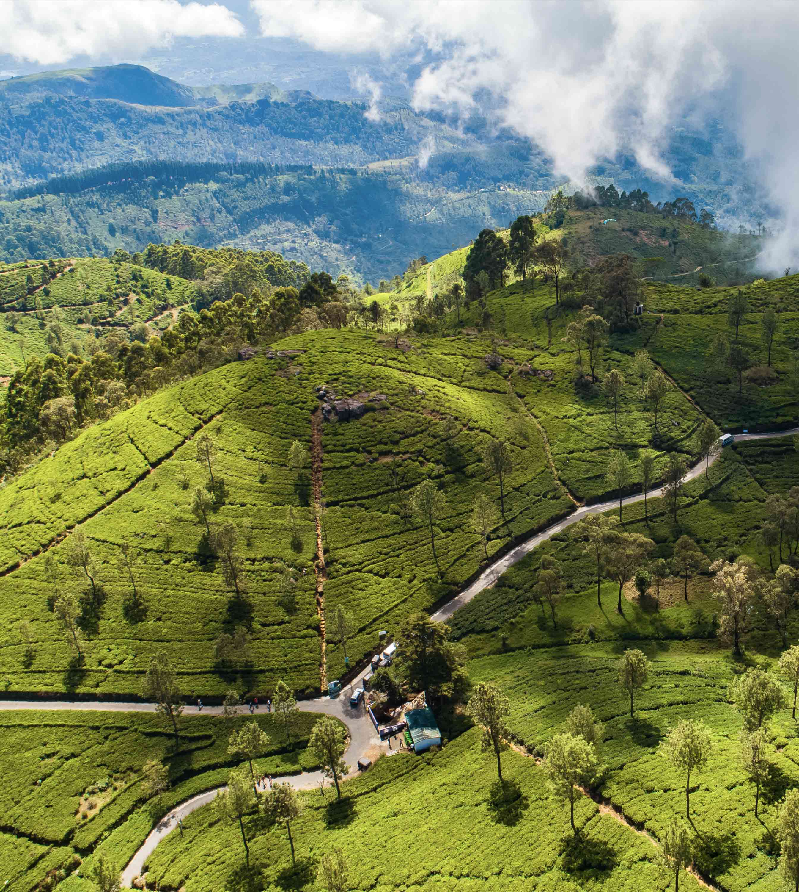 Home - Kotiyagala Luxury Villas