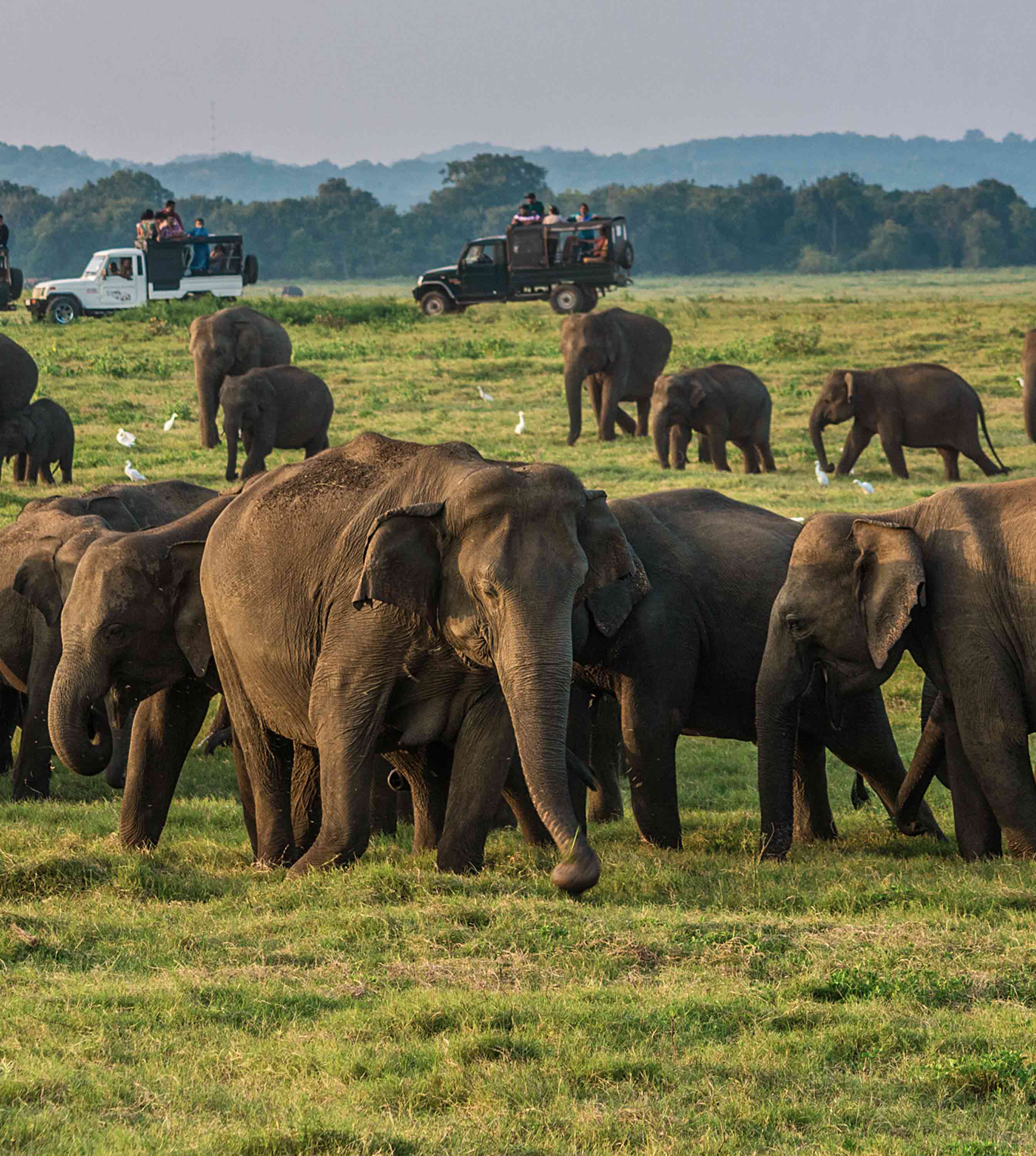 Gallery - Kotiyagala Luxury Villas